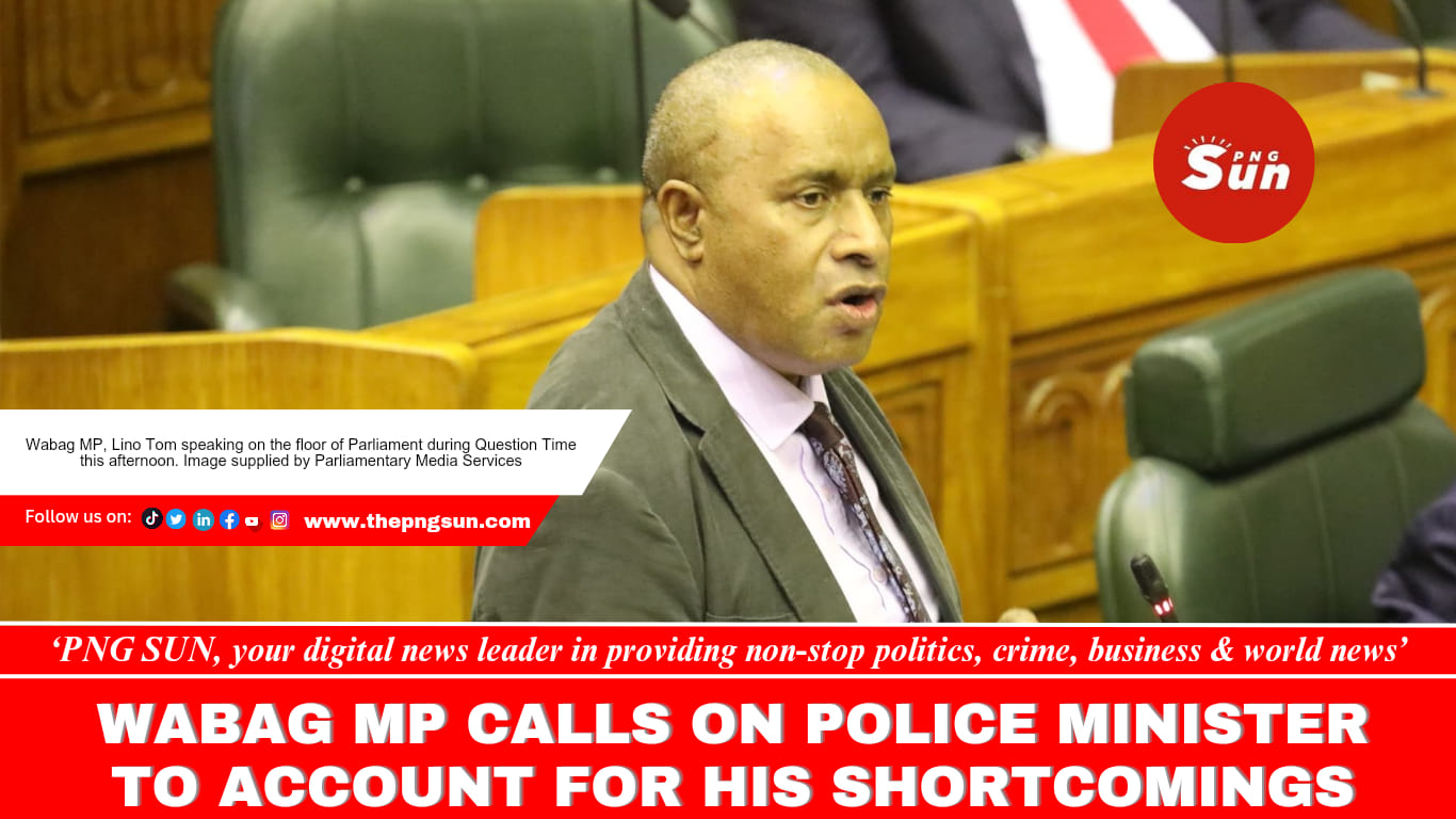 WABAG MP CALLS ON POLICE MINISTER TO ACCOUNT FOR HIS SHORTCOMINGS